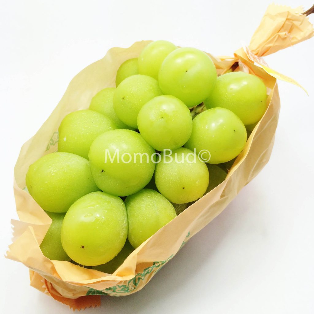 Japanese Nagano Shine Muscat Grapes — MomoBud