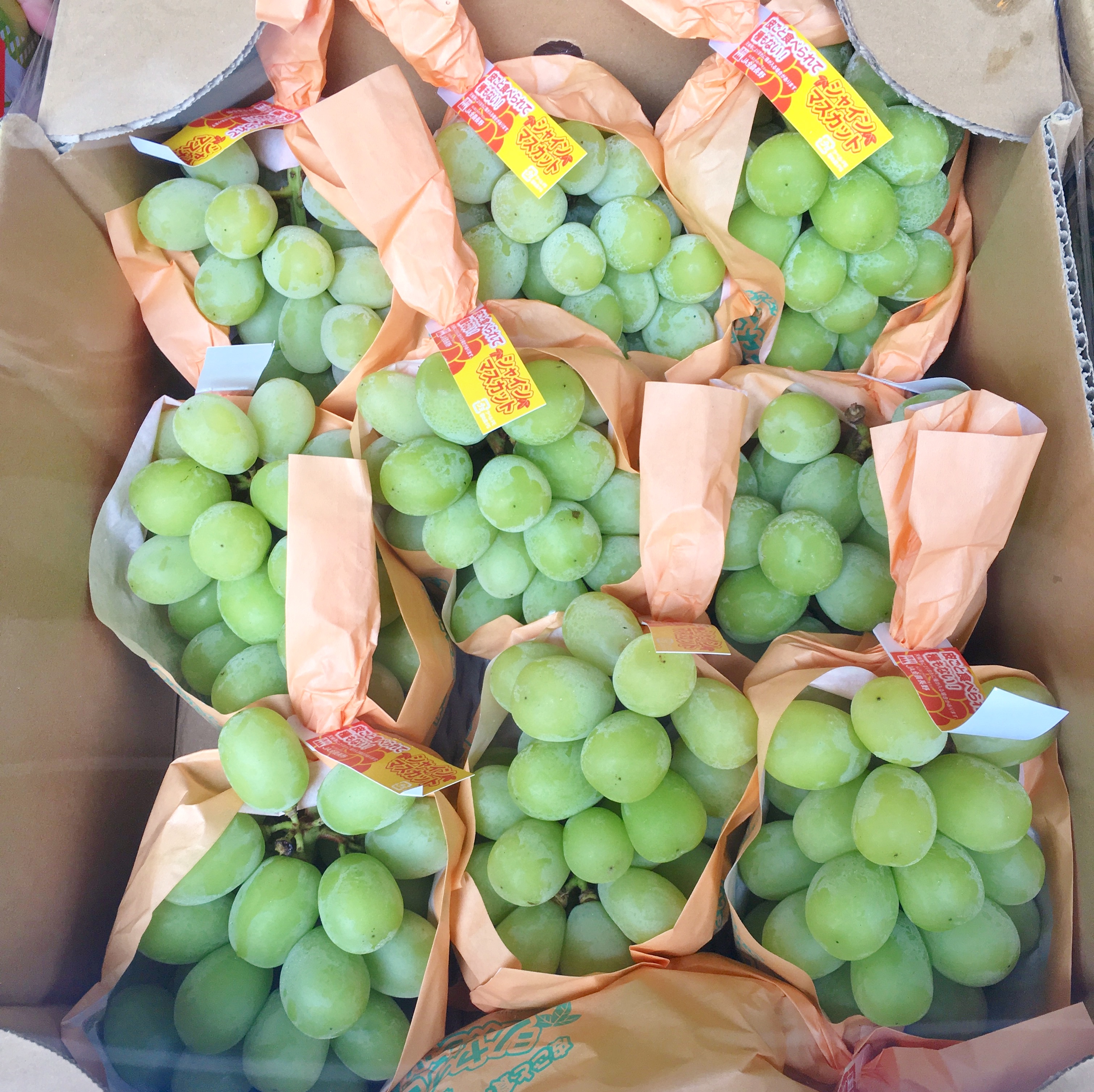 Japanese Shine Muscat Grape (600-700g approx) — MomoBud