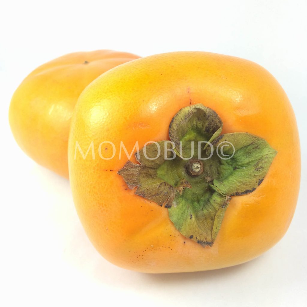 Japanese Fuyu Persimmon (Large-Plus) — MomoBud