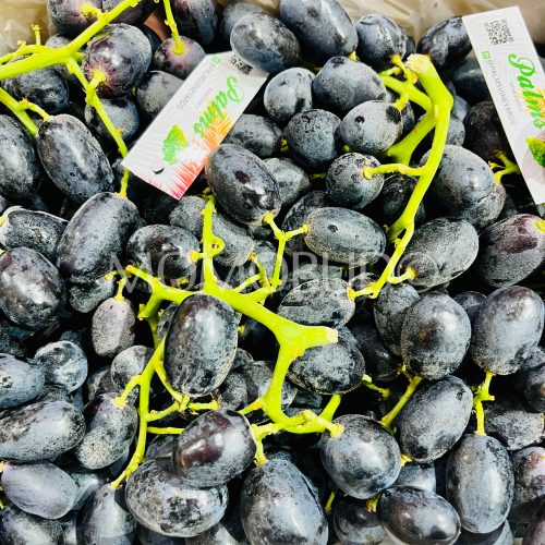 Premium Palms Midnight Beauty® Black Seedless Grapes — MomoBud