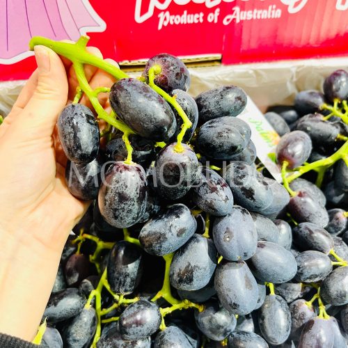 Premium Palms Midnight Beauty® Black Seedless Grapes — MomoBud