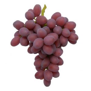 Allison® Red Seedless Grapes (1kg) — MomoBud