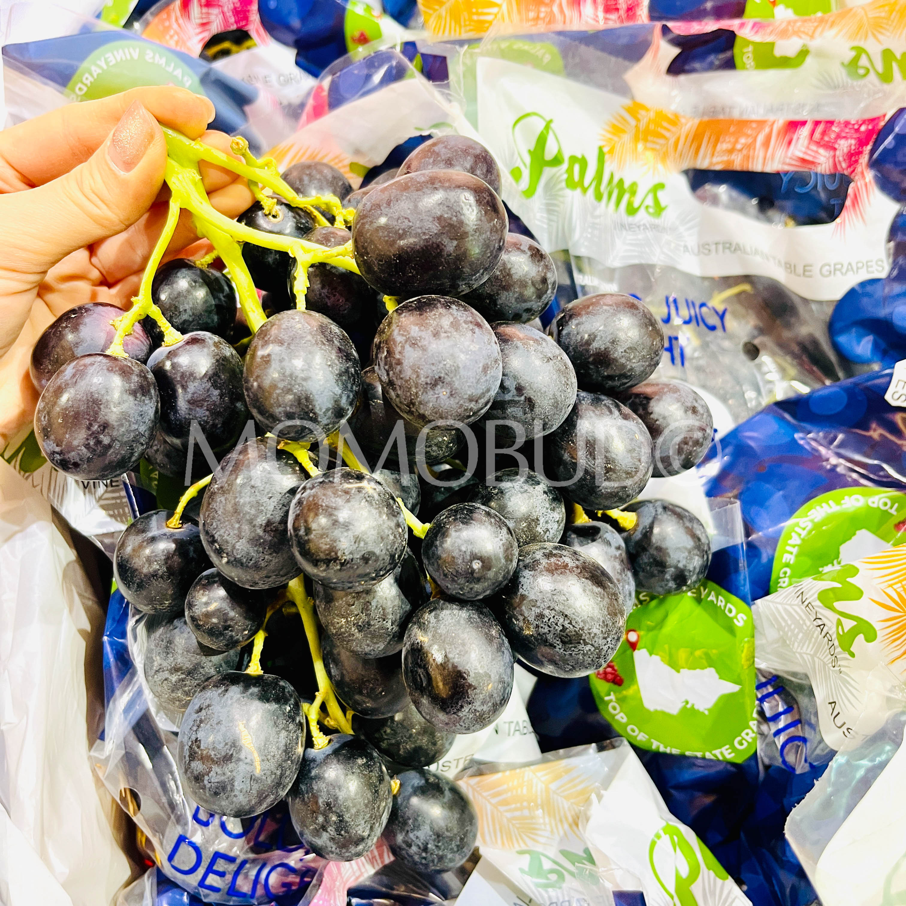 Midnight Beauty® Black Grape (1kg) — MomoBud
