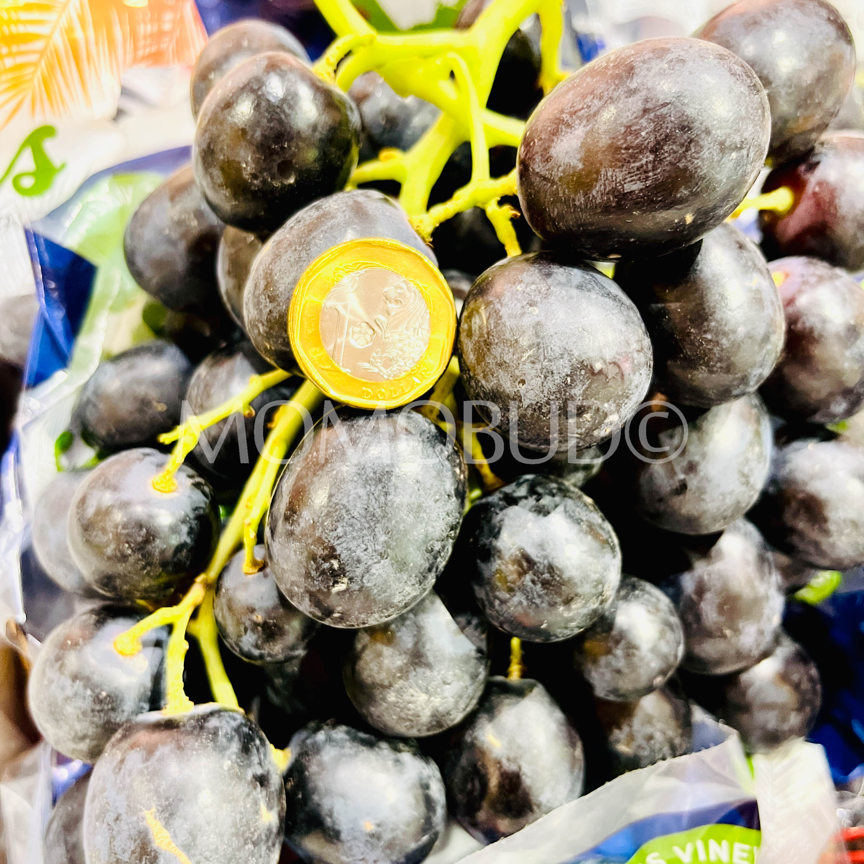 Midnight Beauty® Black Grape (1kg) — MomoBud