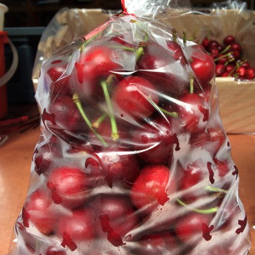 Royal Lynn Red Cherry — MomoBud