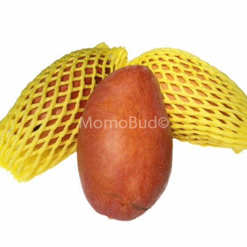 Yu Wen Mango (3pcs) — MomoBud