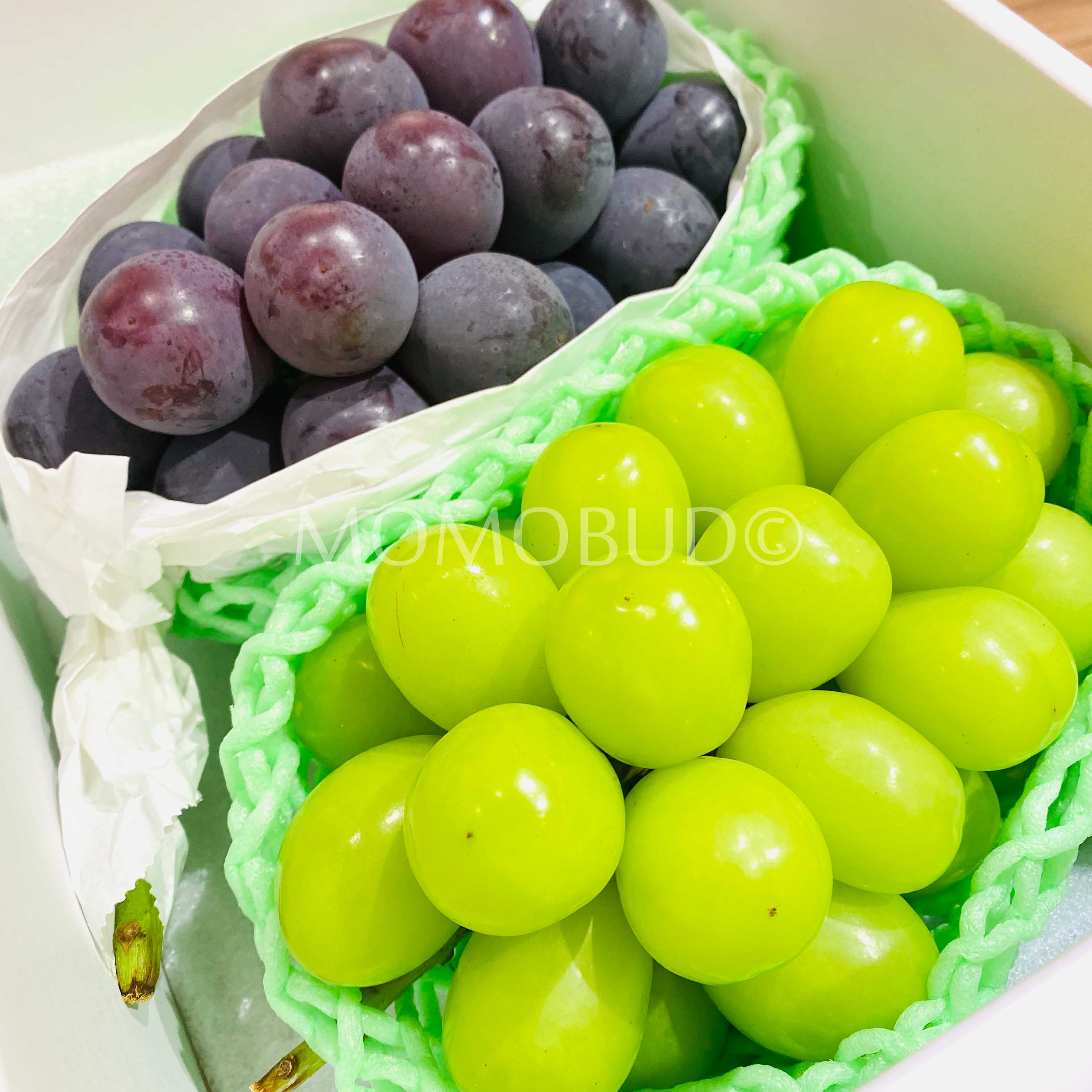 Premium Nagano Shine Muscat & Pione Grapes Gift Box (1.2kg) — MomoBud