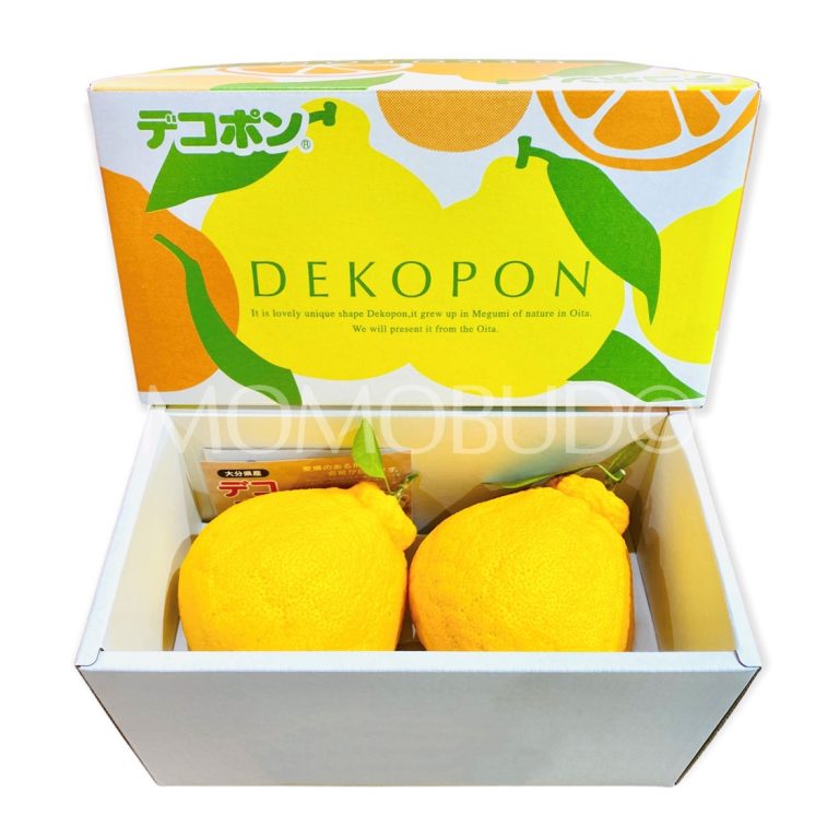 Japanese Dekopon Orange Gift Box (1kg) — MomoBud