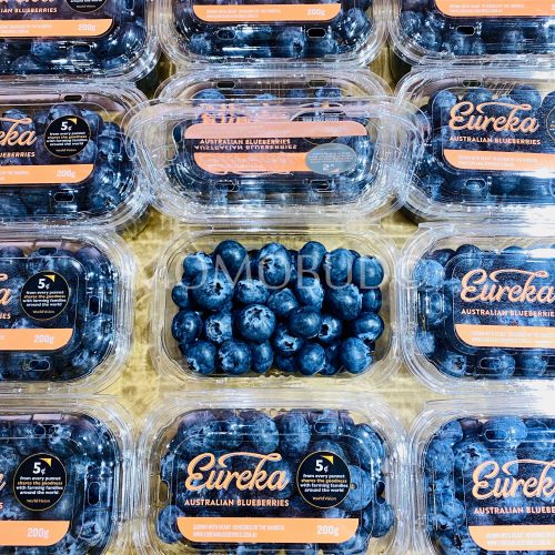 Jumbo Eureka Sweet Blueberry (200g) — MomoBud
