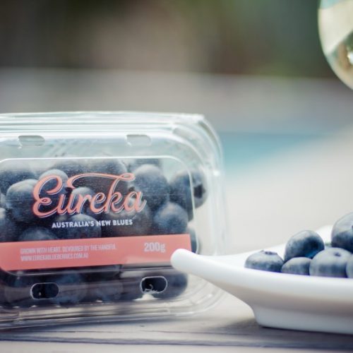 Jumbo Eureka Sweet Blueberry (200g) — MomoBud