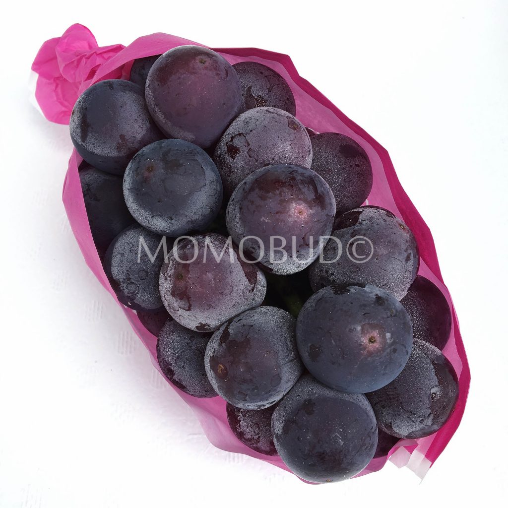 Japanese Nagano Purple Seedless Grapes — MomoBud