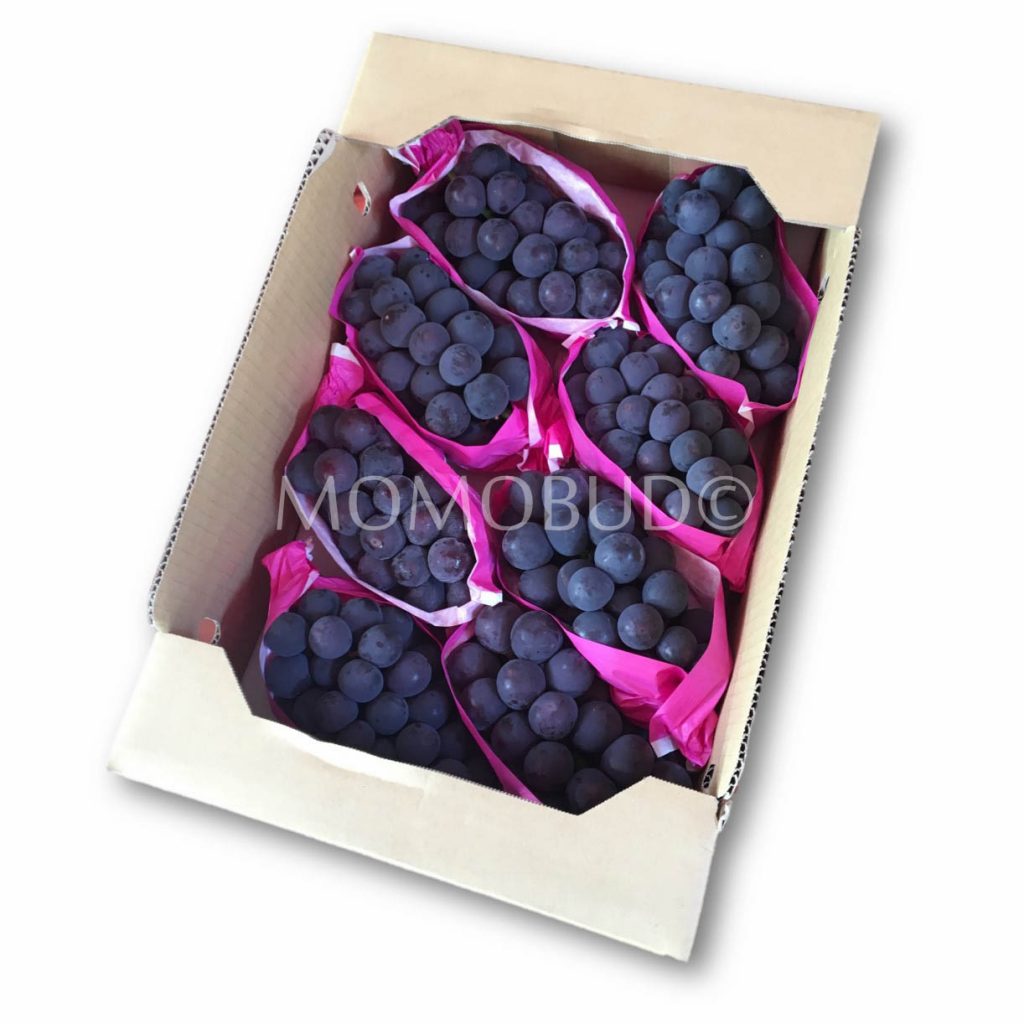 Japanese Nagano Purple Seedless Grapes — MomoBud