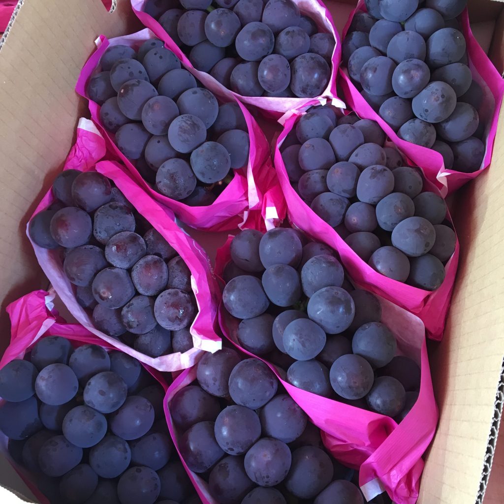 Japanese Kyoho Seedless Grape Box — MomoBud
