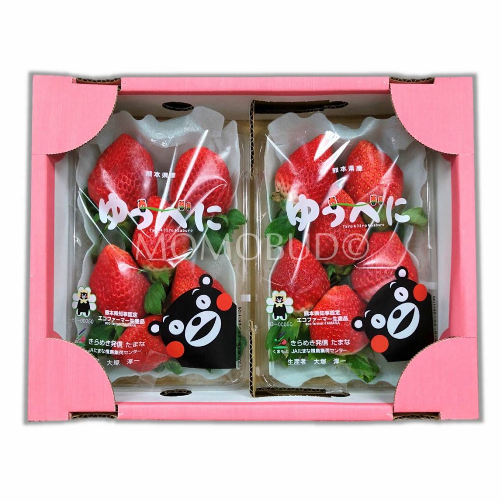 Japanese Yuubeni Ichigo (Strawberry) — MomoBud
