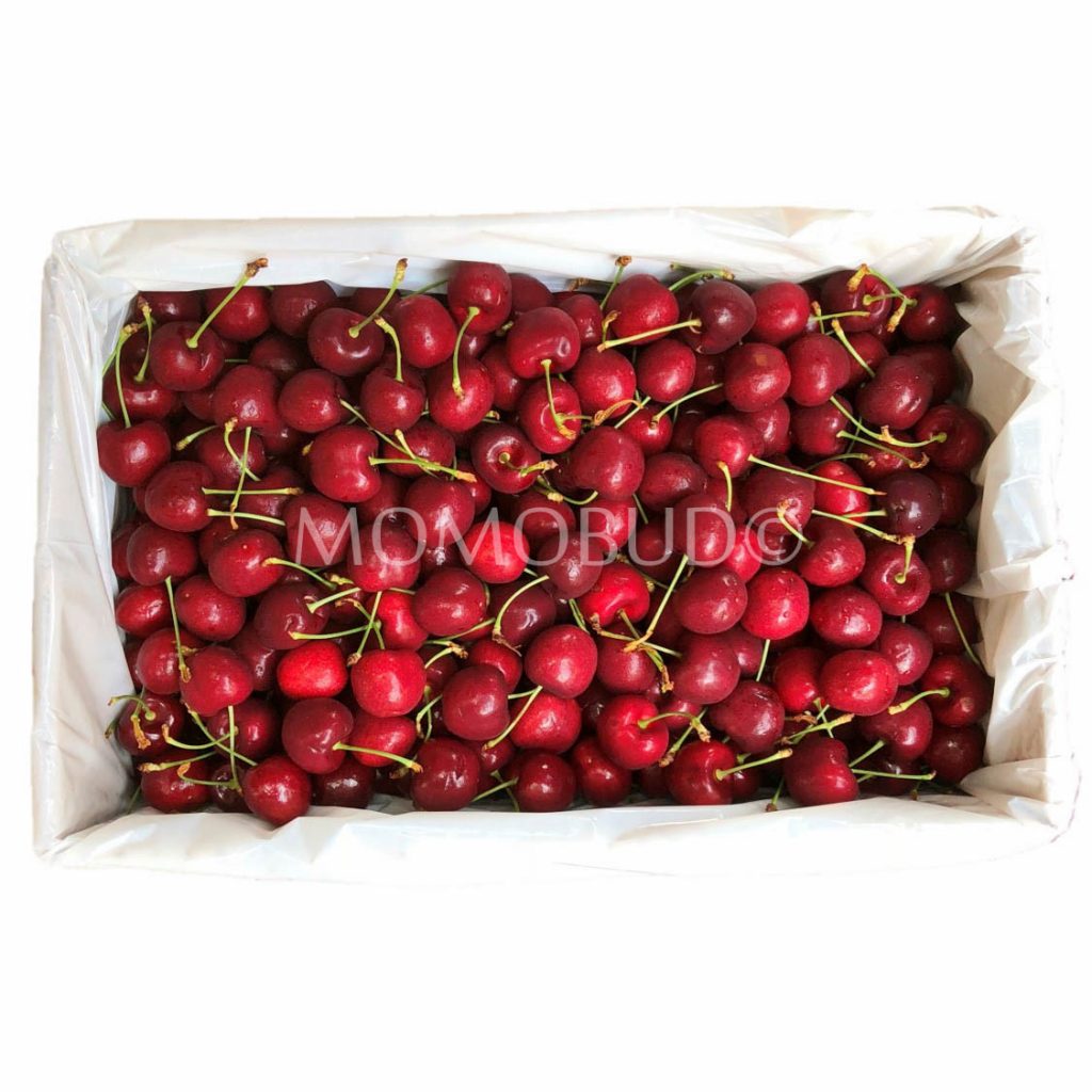 Canadian Staccato Red Cherry Box (5kg) — MomoBud