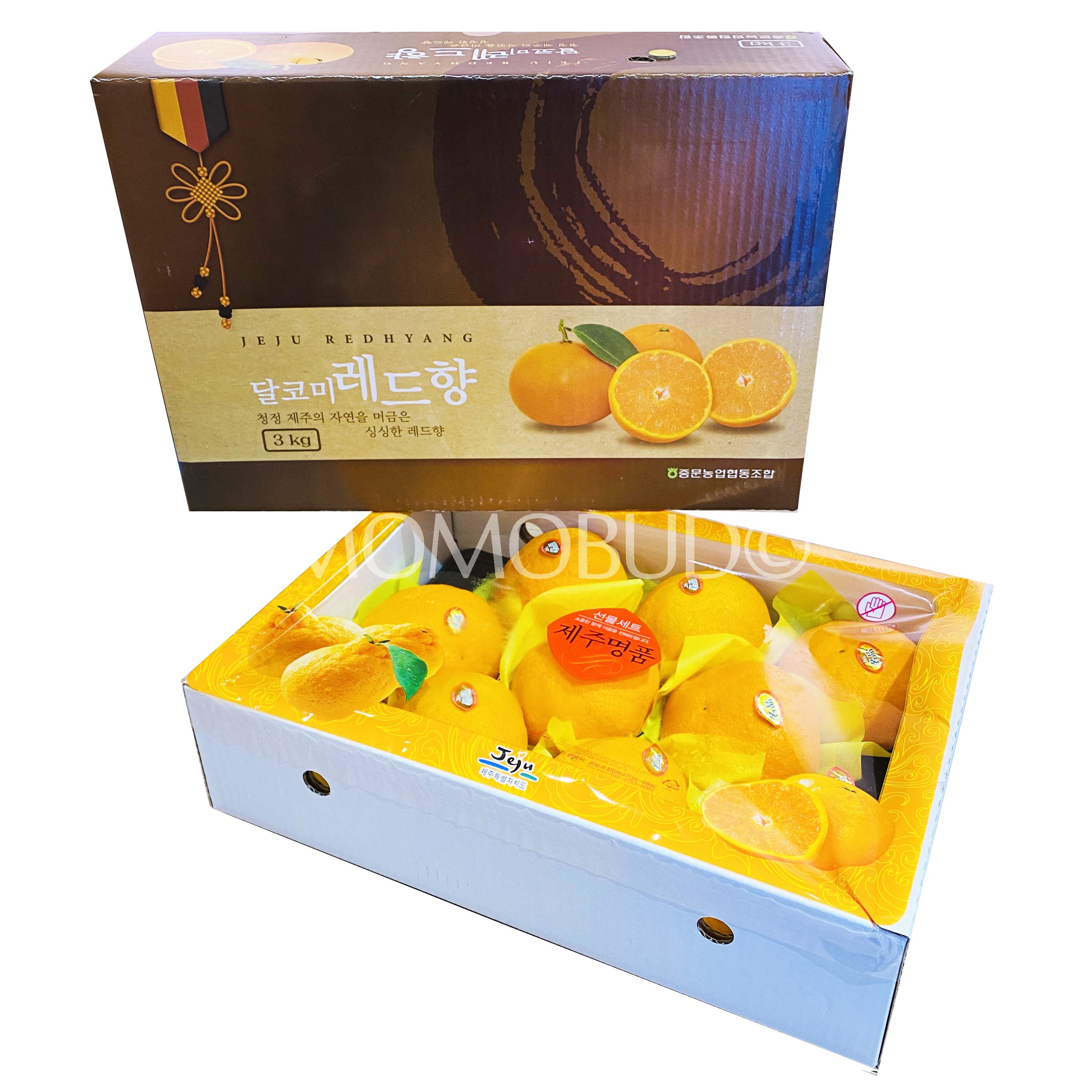 Jeju Red Hyang Mandarin Orange Gift Box (3kg) — MomoBud