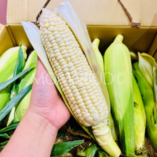 Japanese Hokkaido Fresh White Corn — MomoBud