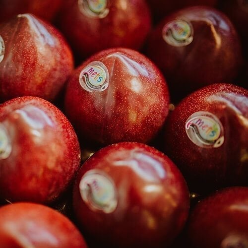 Metis® Dark Moon Plum (7pcs) — MomoBud
