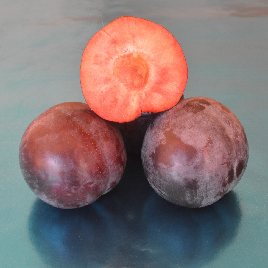 Metis® Dark Moon Plum (7pcs) — MomoBud