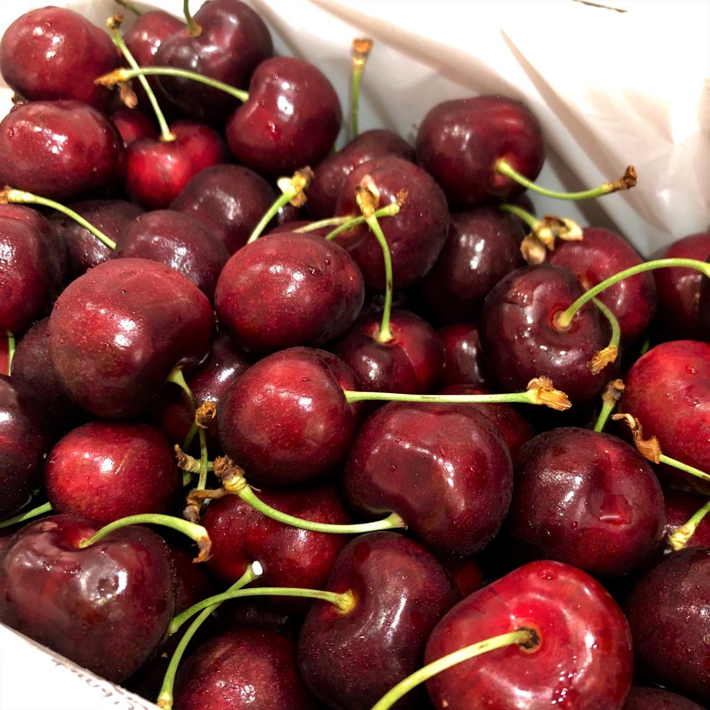 Koala Giant Ruby Red Cherry — MomoBud