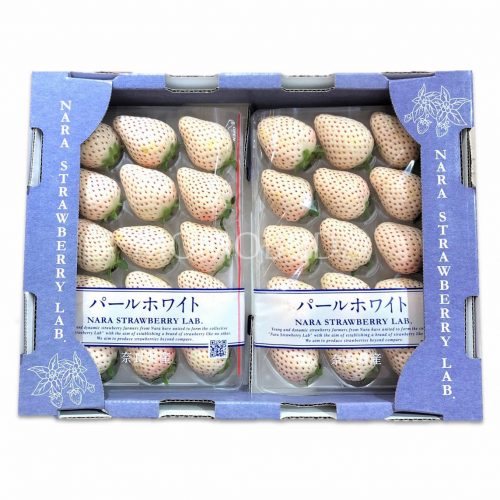 Japanese Nara Pearl White Ichigo (Strawberry) — MomoBud
