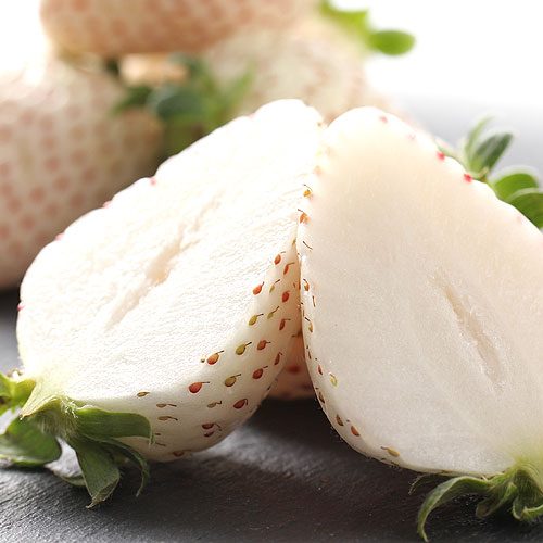 Japanese Nara Pearl White Ichigo (Strawberry) — MomoBud
