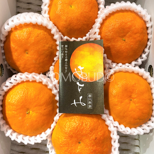 Japanese Asumi Mikan (Mandarin Orange) Gift Box (1.5kg) — MomoBud