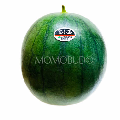 Japanese Kuro Kodama Watermelon — MomoBud