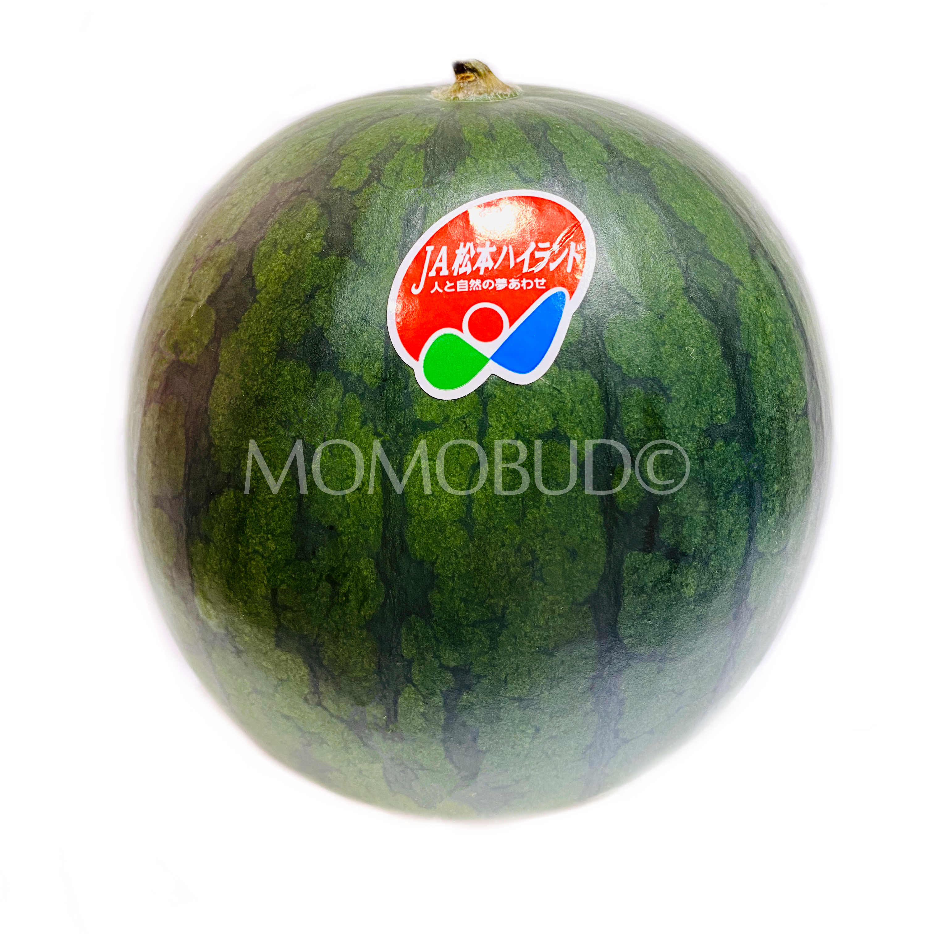 Japanese Matsumoto Highland Kodama Watermelon — MomoBud