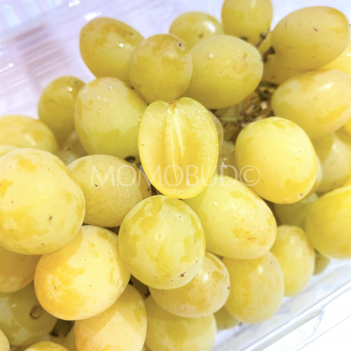 Sweet Carnival™ White Seedless Grapes — MomoBud