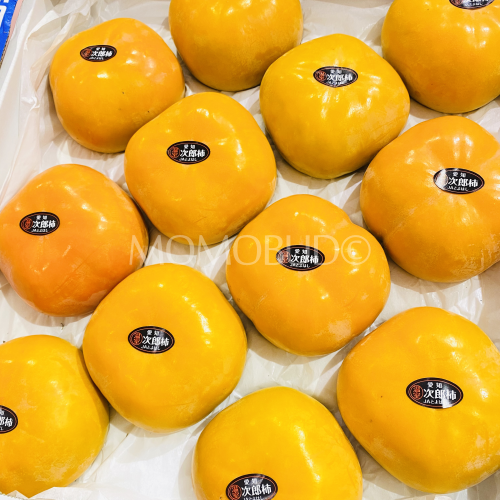 *Special Promo* Japanese Tanenashi Jiro Persimmon (Medium-Plus) — MomoBud