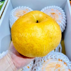 Atago Nashi - MomoBud's Online Premium Fruits