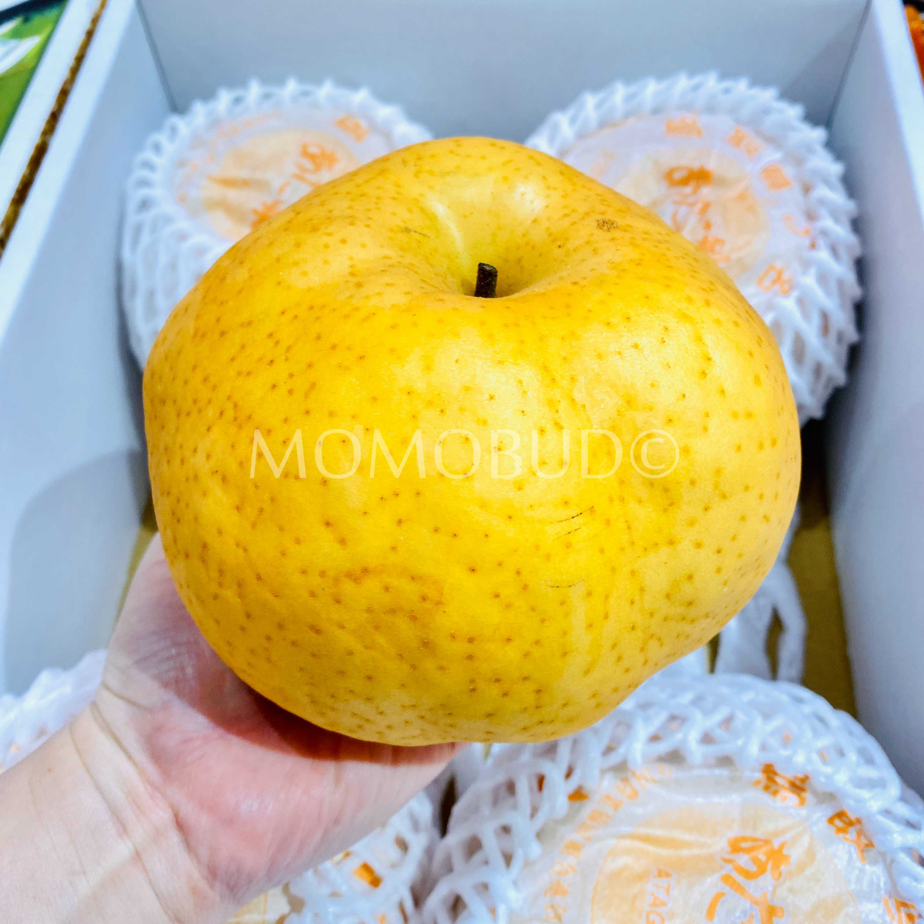 Atago Nashi - MomoBud's Online Premium Fruits