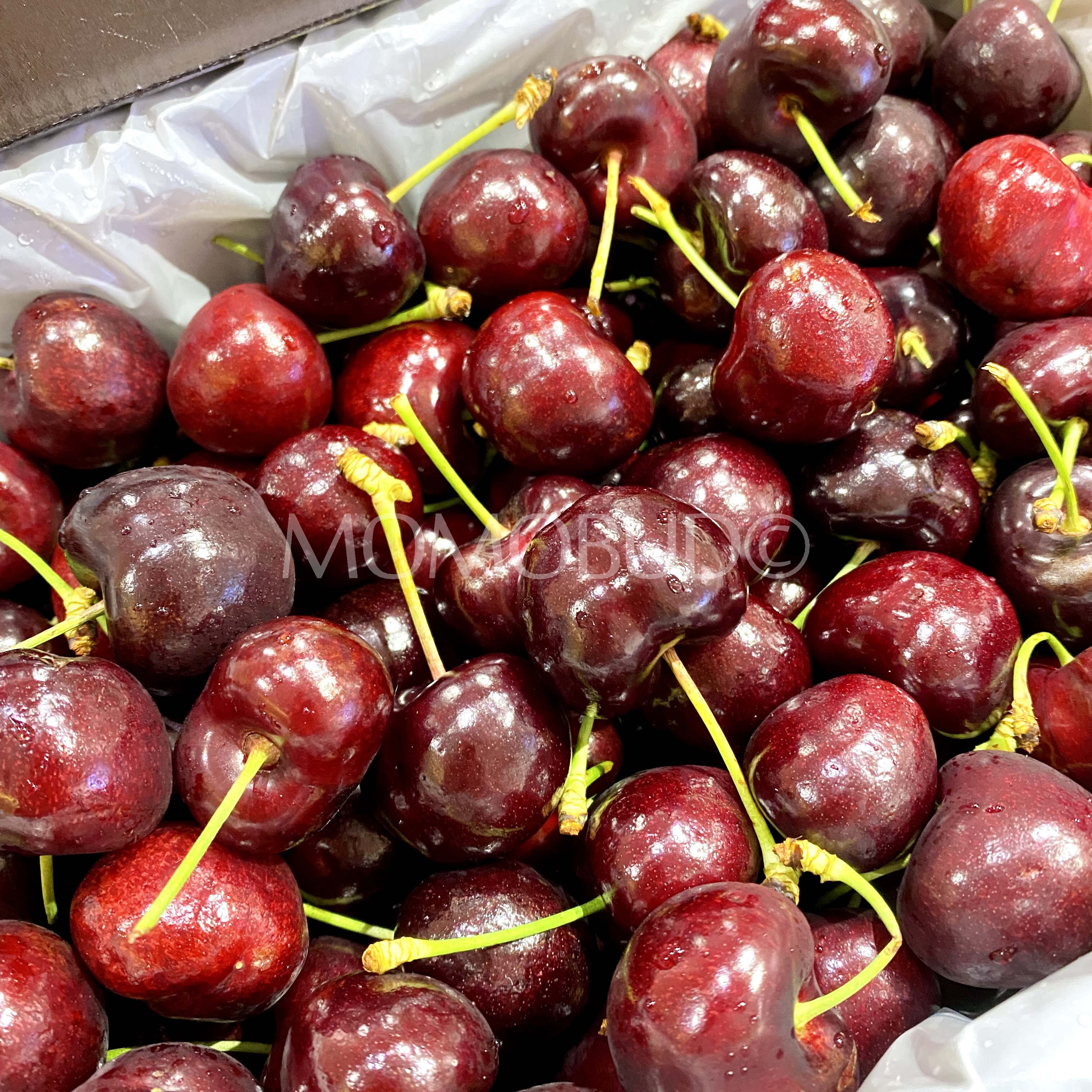 Australian Late Garnet Red Cherry (2kg Box) — MomoBud