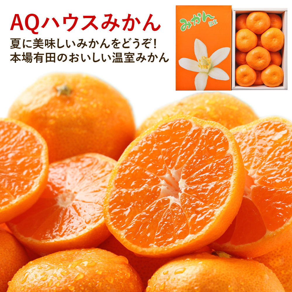 Japanese Arida House Mikan (Mandarin Orange) — MomoBud