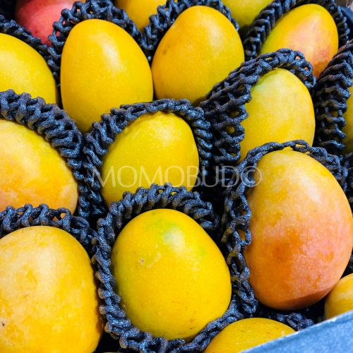 Colombia Mini Sugar Mango Box (2kg) — MomoBud