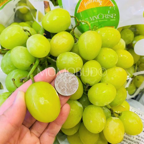 Fruitico Jumbo Autumn Crisp® Green Seedless Grapes (1kg) — MomoBud