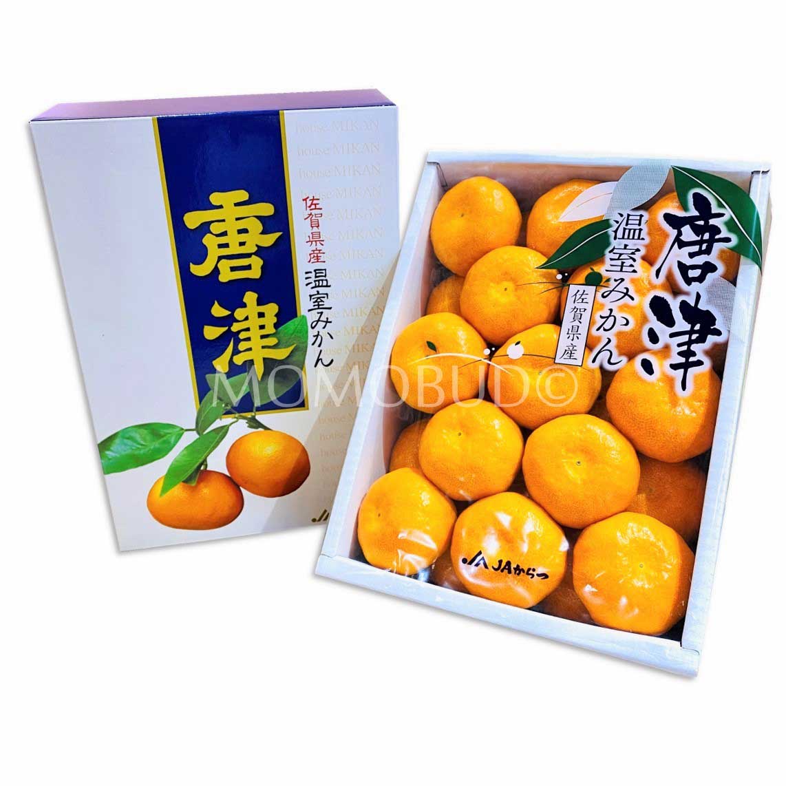Japanese Karatsu Onshitsu Mikan | MomoBud