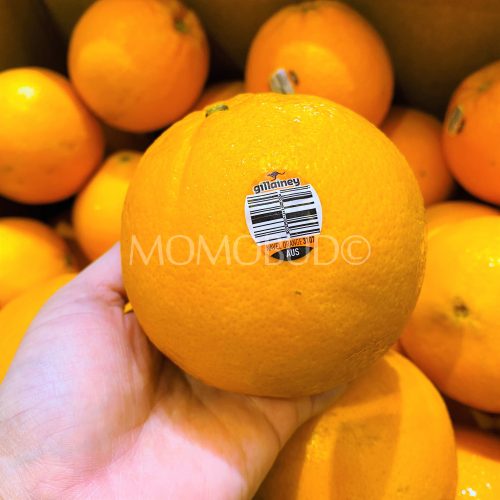 Australian Lakeview Citrus Late Navel Orange (Medium-Plus, 5pcs) — MomoBud