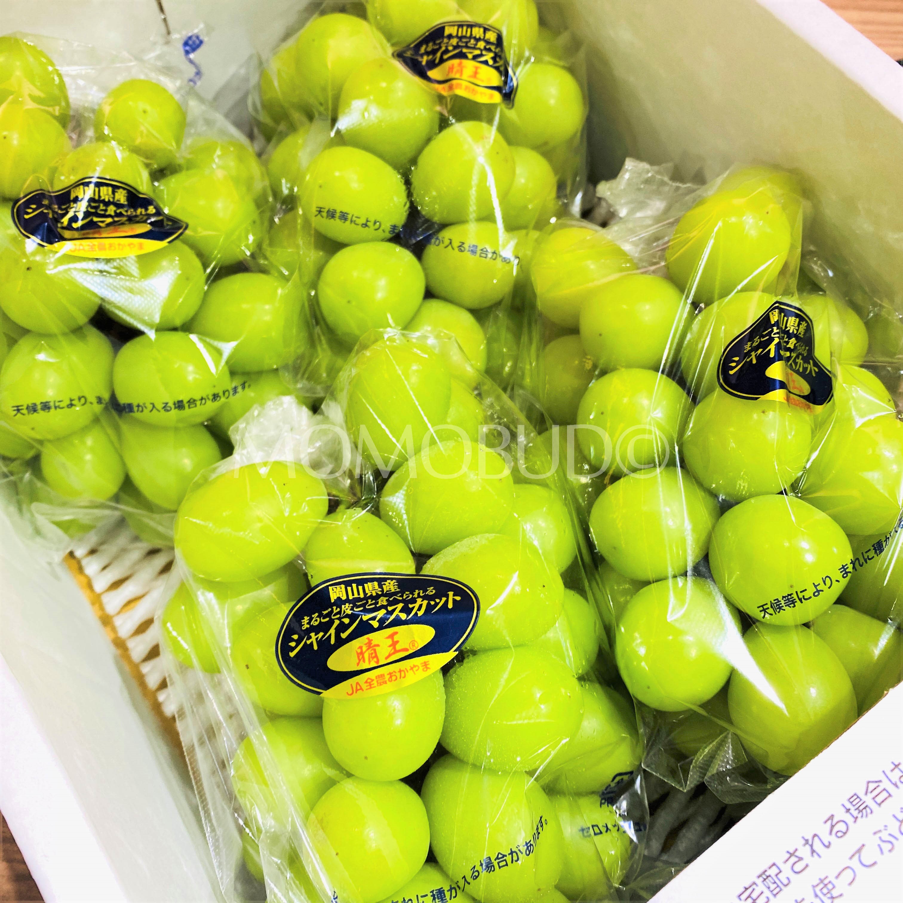 Japanese Hareo Shine Muscat Grapes Gift Box (2kg) — MomoBud