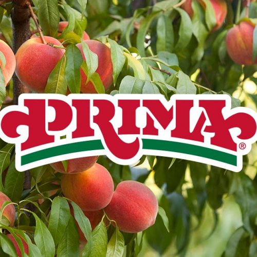Prima® Gattie Yellow Peach (Medium, 3pcs) — MomoBud