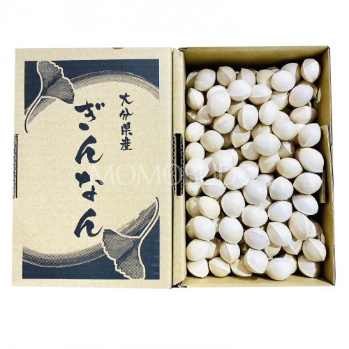 Japanese Oita Ginnan (Fresh Ginkgo) Box (500g) — MomoBud