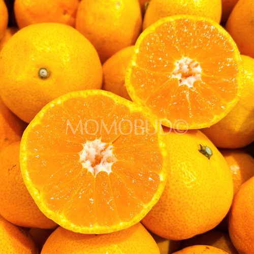 Japanese Premium Yutoka Mikan (Mandarin Orange) — MomoBud