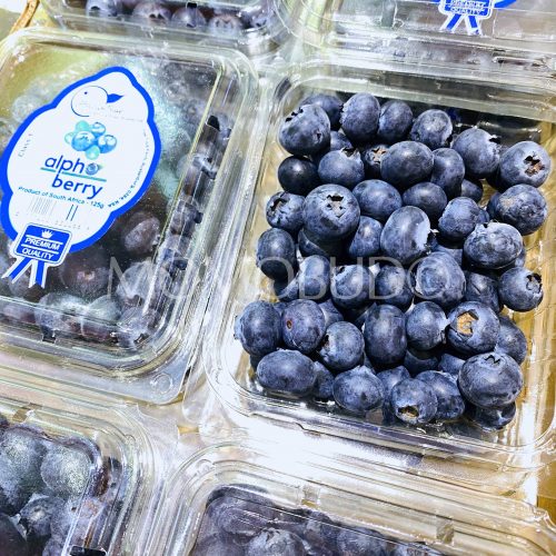 African Blue Alpha Blueberry — MomoBud