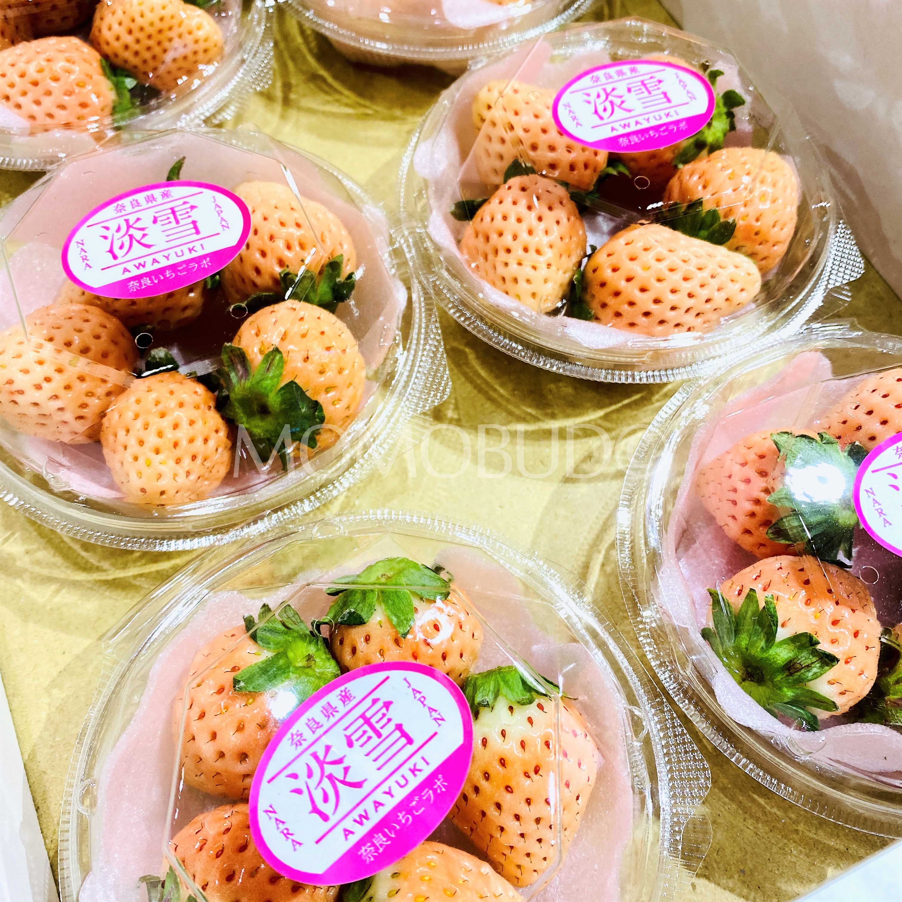 *Limited* Japanese Nara Awayuki Ichigo (Strawberry) 70g cup — MomoBud