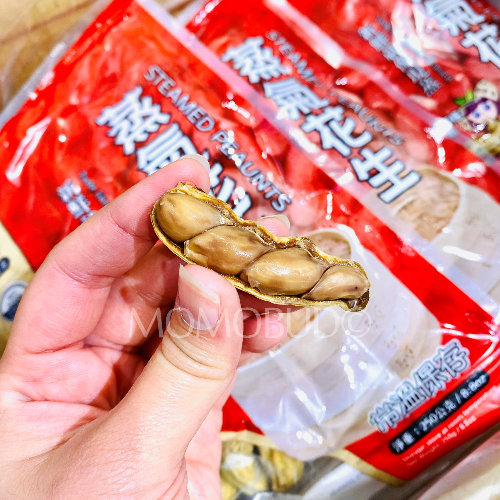 Taiwan Yunlin Steamed Peanut Pack (250g) — MomoBud