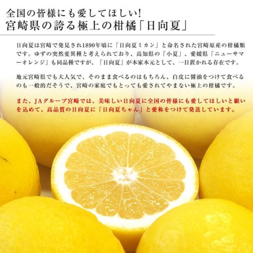 Japanese Hyuganatsu Orange (Medium) — MomoBud