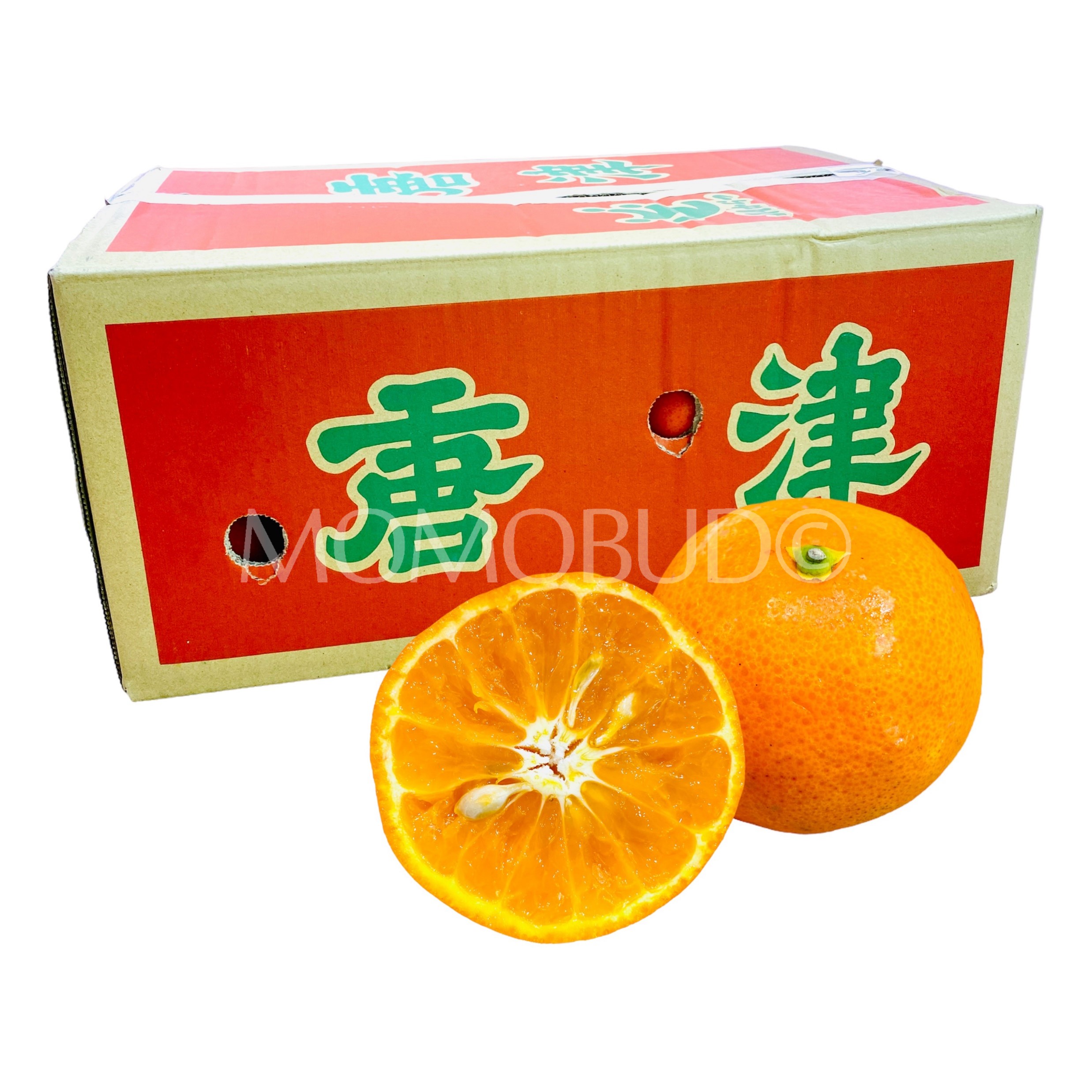 Japanese Saga Mihaya Mikan (Mandarin Orange) — MomoBud