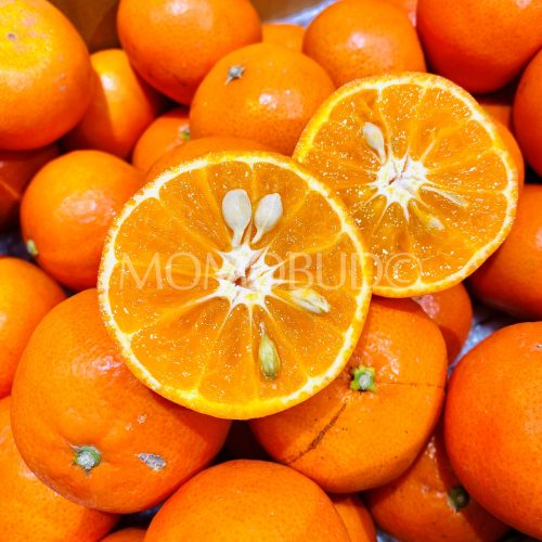Japanese Saga Mihaya Mikan (Mandarin Orange) — MomoBud
