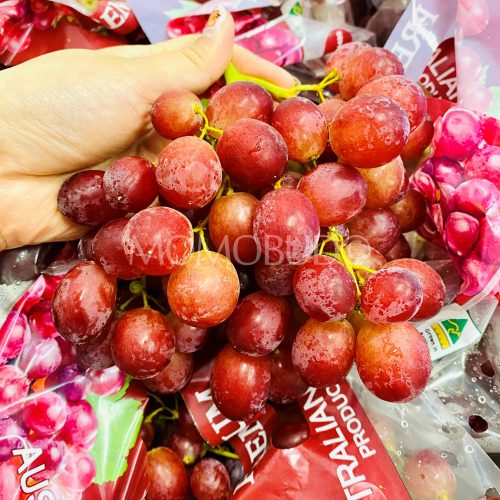 Sweet Nectar™ Red Seedless Grapes (1kg) — MomoBud